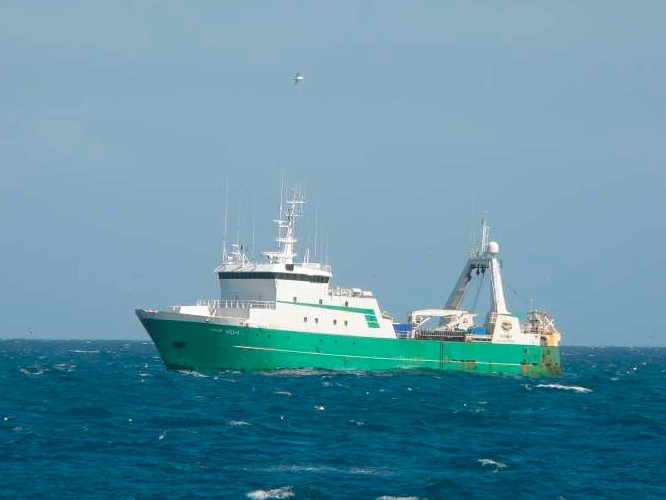 Arnar - Naust Marine